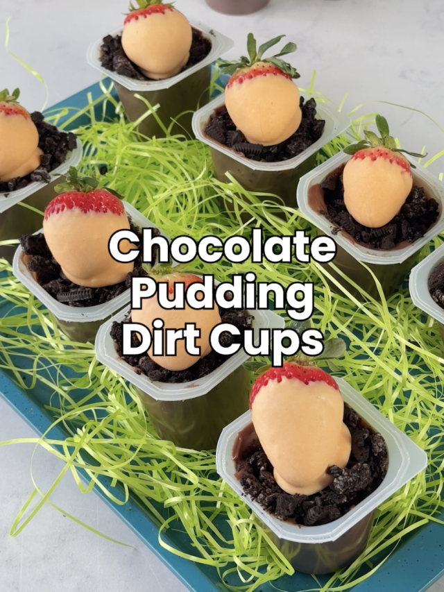 Chocolate Pudding Dirt Cups | Savory