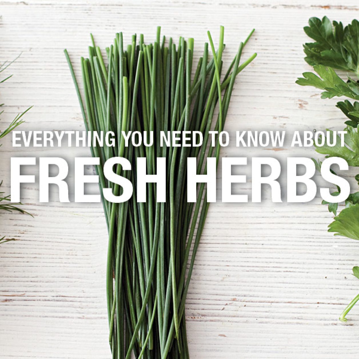 Everything You Need to Know About Fresh Herbs | Savory