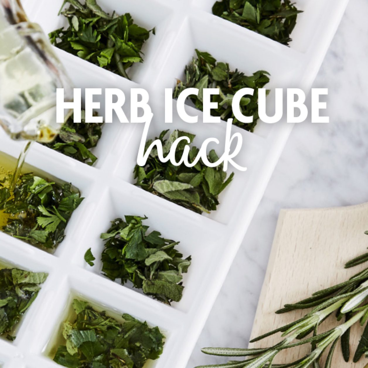 Herb Ice Cube Hack | Savory