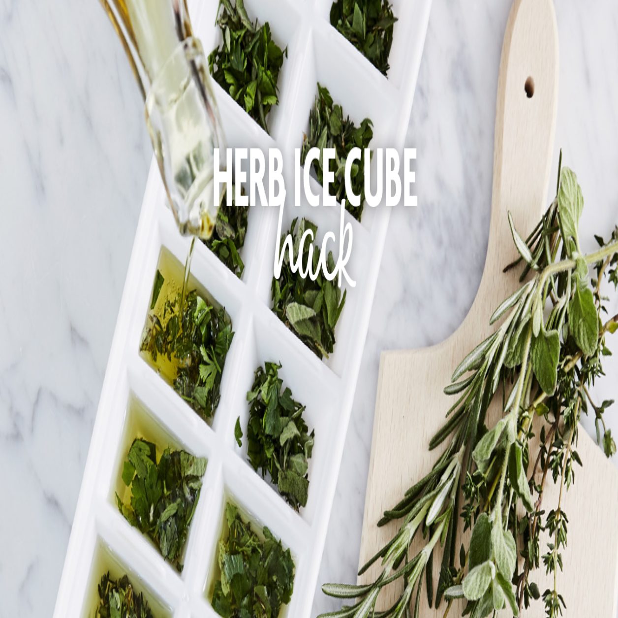 Herb Ice Cube Hack | Savory