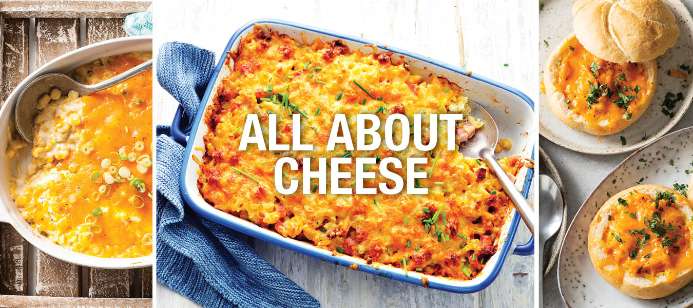 All About Cheese | Savory