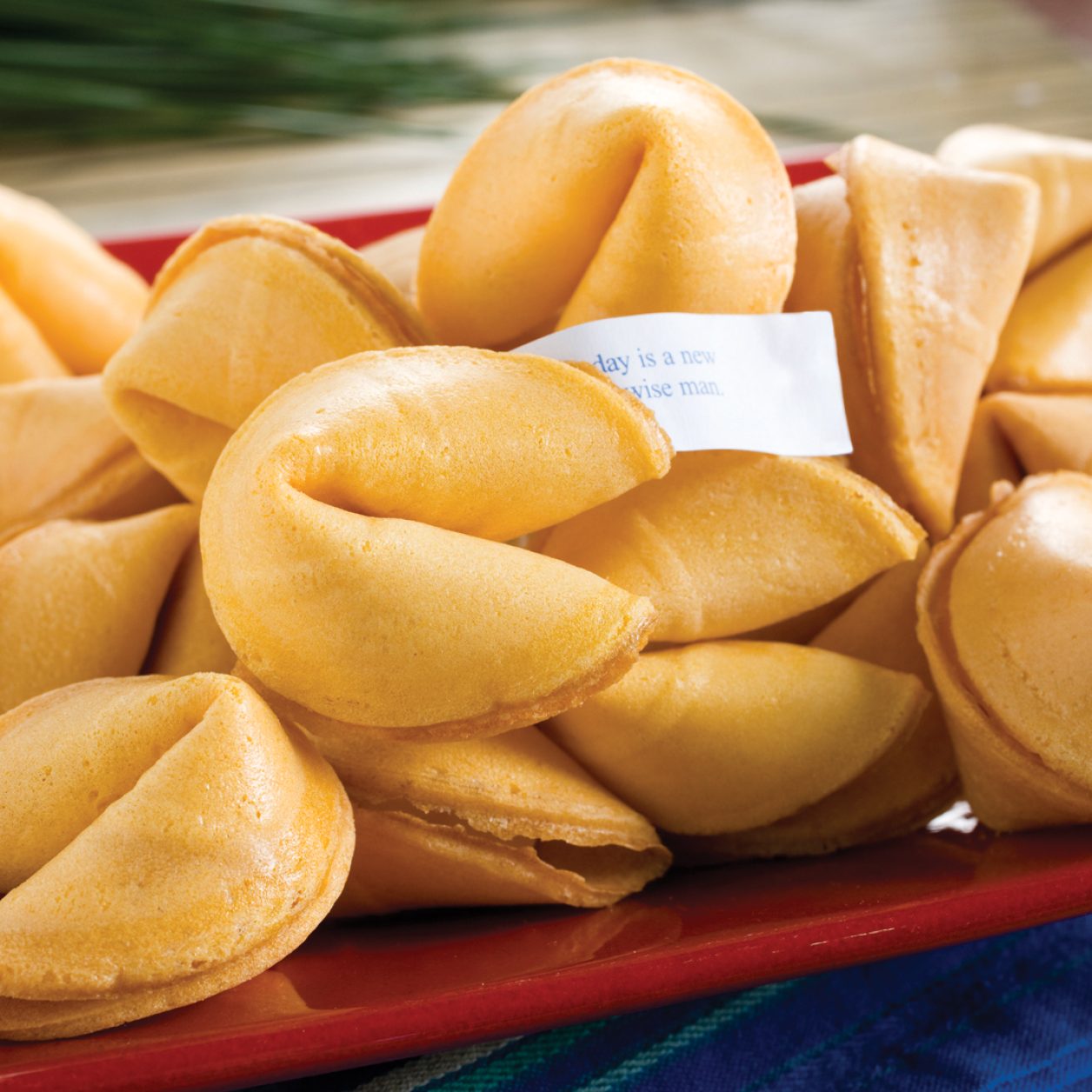 Fortune Cookies | Savory